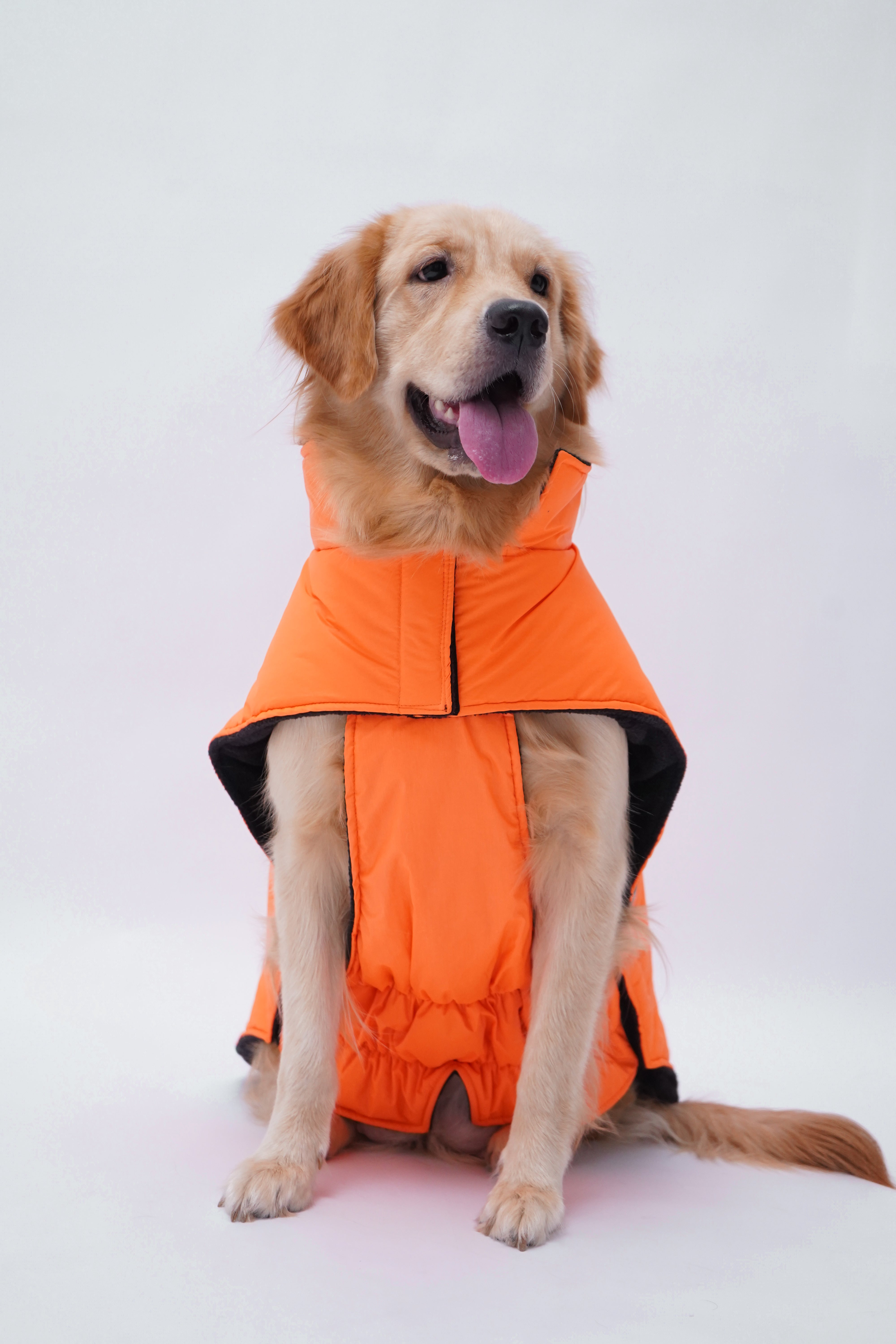 Neon Orange Jacket for Dogs – Furry Castle